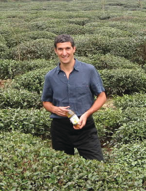 Honest Tea CEO Urges New York City To Reconsider Proposed Ban On Large ...