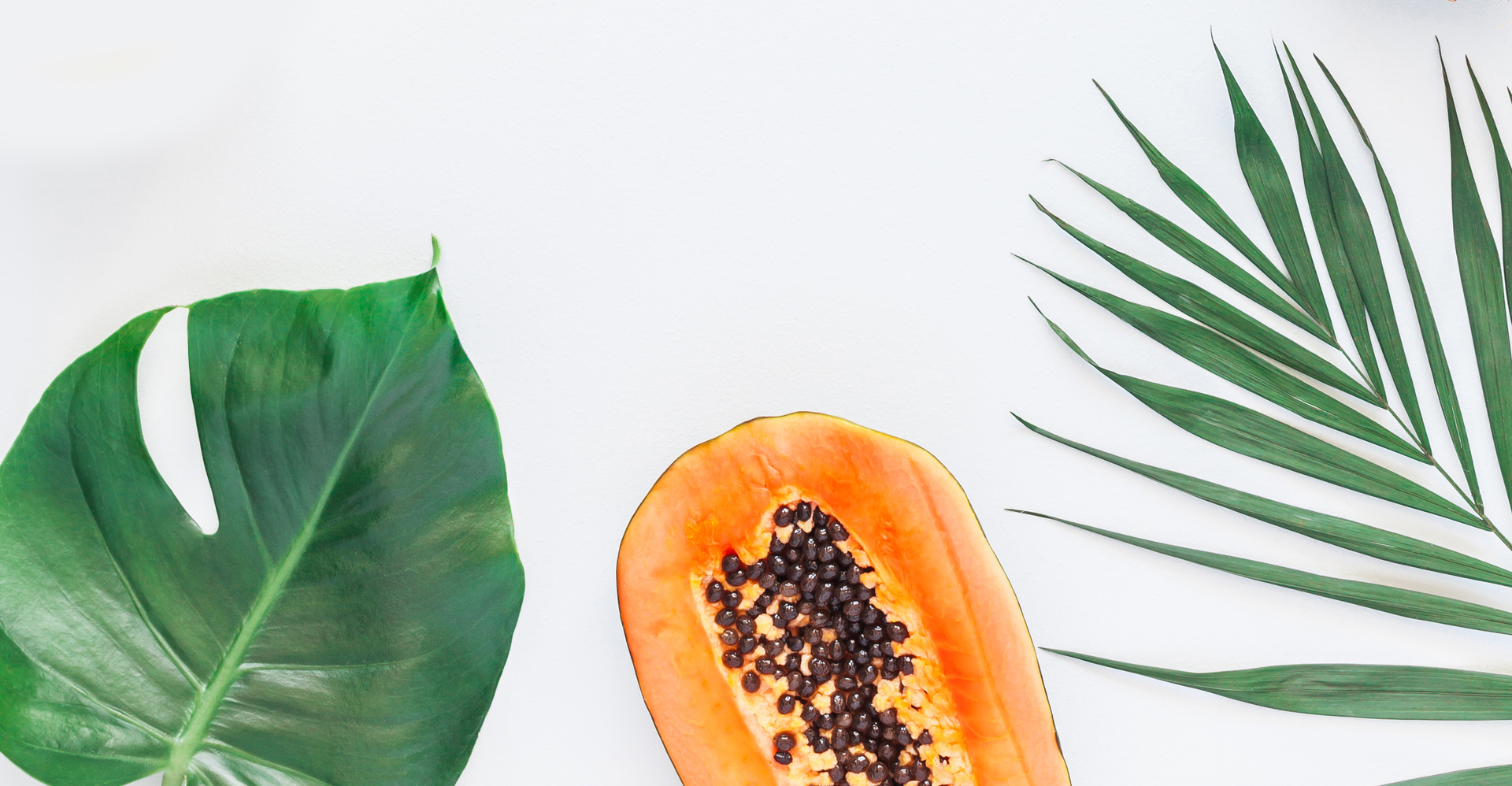 2019 NAMA Show – It’s all about “the Yapa” | Vending Market Watch