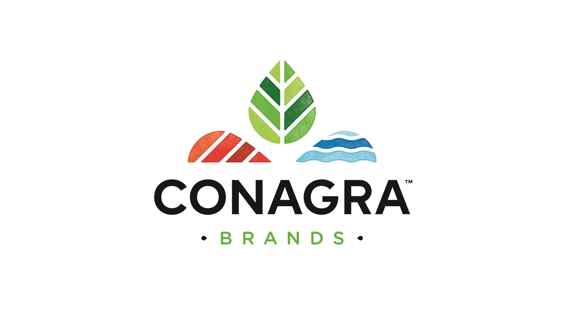 Conagra Brands promotes Tracy Schaefer to chief information officer ...